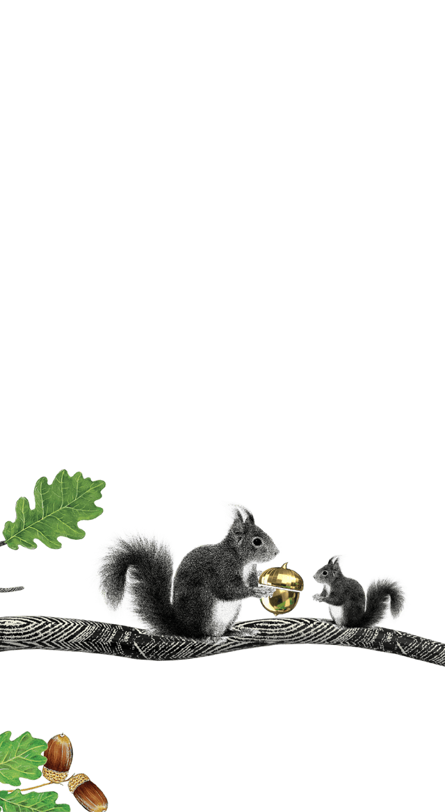 Acorns Early | Acorns